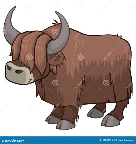 Cute Hairy Yak Vector Illustration Isolated On White With Big Horns