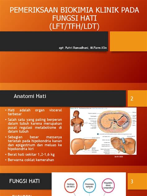 Kul 3 Pem Bioklin Pada Metab Bilirubin Direk Indirek Pdf Pdf