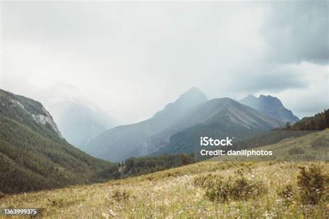 비가 오는 구름 속에서 뾰족한 봉우리 아래 숲이 있는 극적인 빈티지 산악 풍경 세피아 톤의 흐린 날씨에 흐린 하늘 아래 날카로운 산 정점에 경치 산의 경치 0명에 대한 스톡