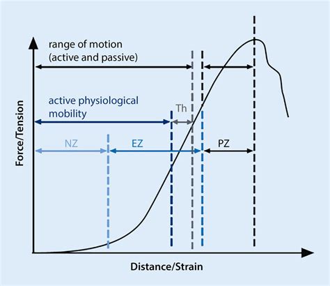 8 Diagram On Distanceforce Adapted To Movements Of Joints And