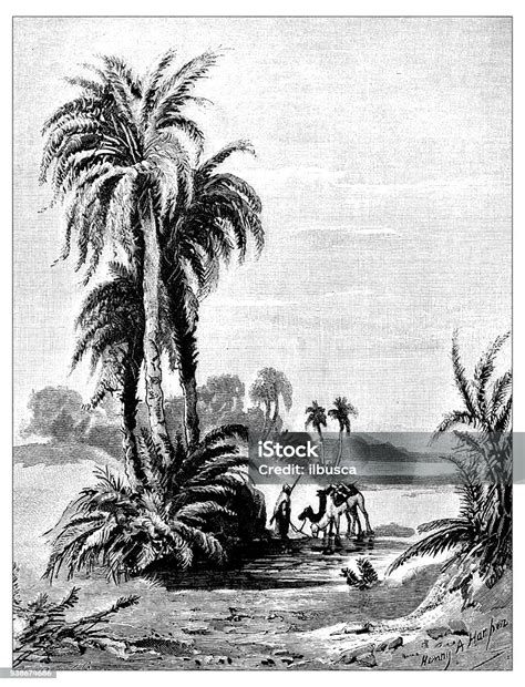 Ilustración De Ilustración Antigua De Oasis Desierto De Shur Y Más