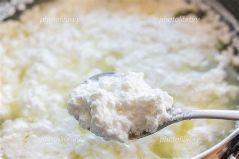 自家製チーズ作り 牛乳が分離した状態 写真素材 7296595 フォトライブラリー Photolibrary