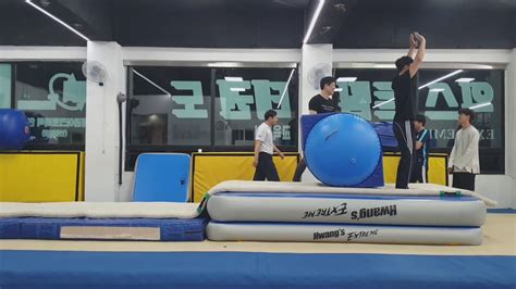 성인부 스완 단계별지도법 수업 측전 스완 Youtube