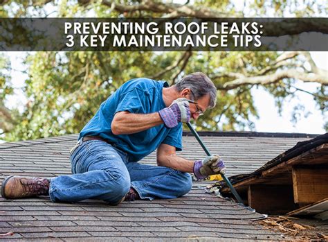 Preventing Roof Leaks 3 Key Maintenance Tips