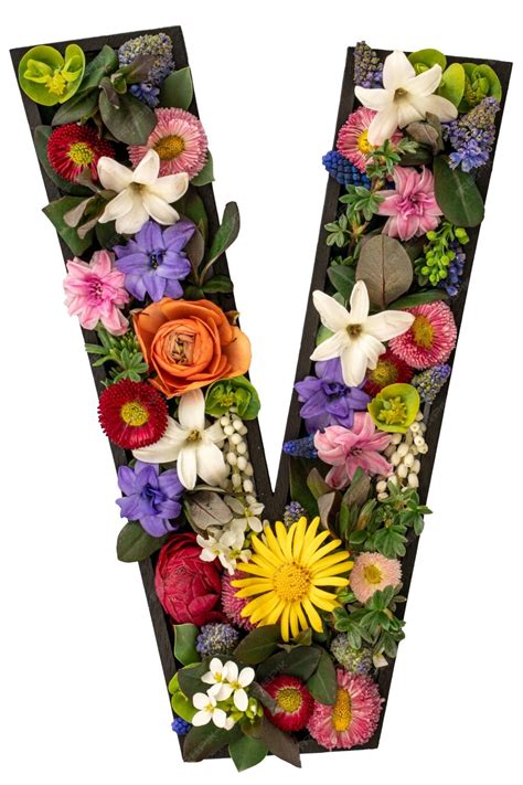 투명한 배경에 실제 자연 꽃과 잎으로 만든 V 글자 무료 사진