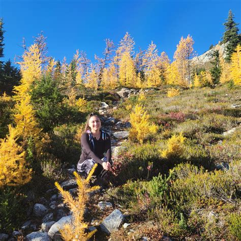 Heather Maple Pass Loop — Washington Trails Association
