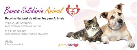 Campanha Do Banco Solidário Animal é Este Fim De Semana Dogs Ptmagazine
