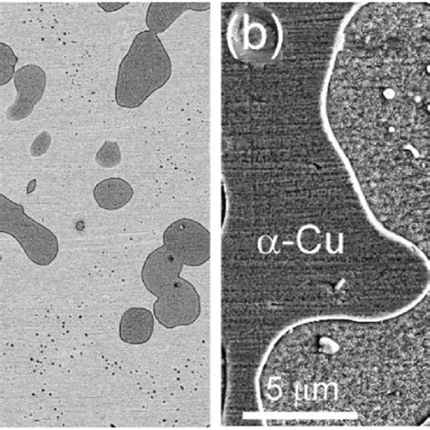 SEM SE A And BSE B Image Of Microstructures In 25SS Bronze