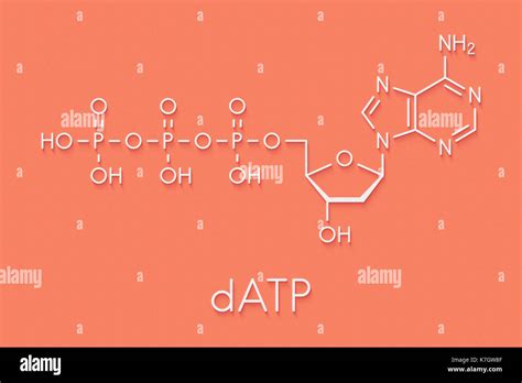 Deoxyadenosine Triphosphate Datp Nucleotide Molecule Dna Building Block Skeletal Formula