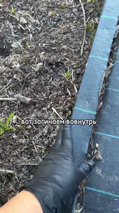 От сорняков между грядок - YouTube