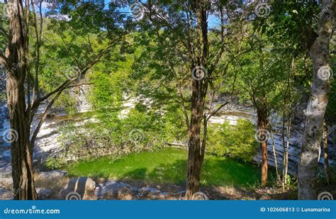 Cenote Sagrado Sacred Sinkhole Chichen Itza Stock Image Image Of Riviera Indian