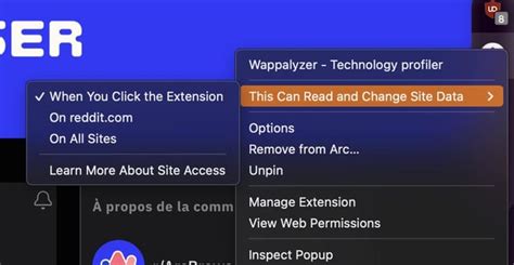 Bug Use Extension Only When I Click On The Icon Not Working I Like