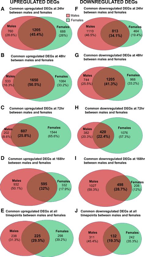 Biological Sex Divergence In Transcriptomic Profiles During The Onset