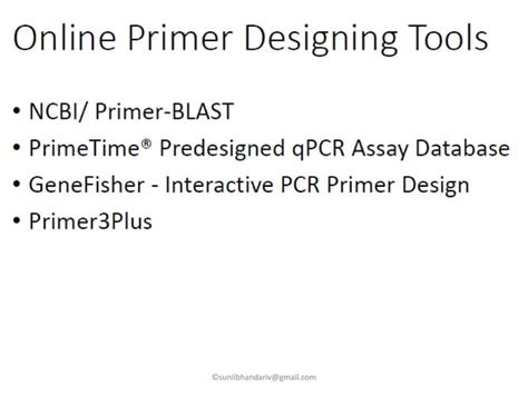 Primers And Probes Pdf Chemistry Science