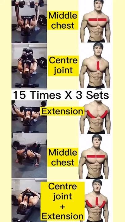 The Best Dumbbell Exercises Chest Edition Video In 2024 Dumbbell