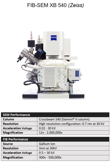 Focused Ion Beam Scanning Electron Microscopy Fib Sem En Mme Mm