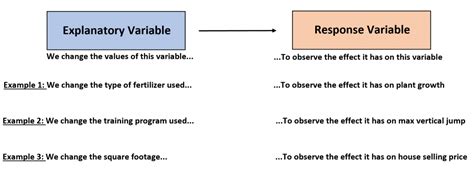 Explanatory Response Variables Definition Examples
