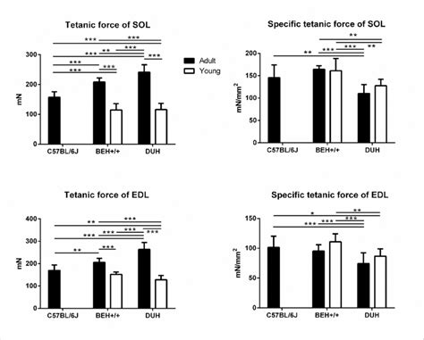 Tetanic Force Generation Capacity Of Soleus Sol And Extensor