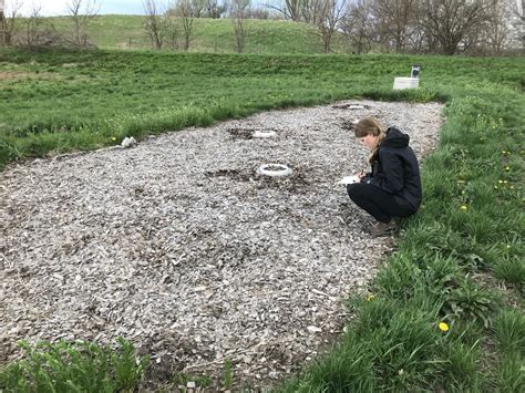 Improving Denitrifying Woodchip Bioreactor Design And Management