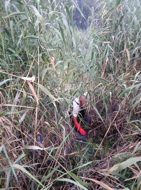 去年捕蝦記 1 每日頭條
