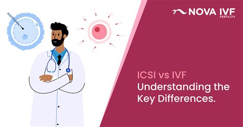 Ivf Vs Icsi Difference Between Ivf And Icsi Treatments