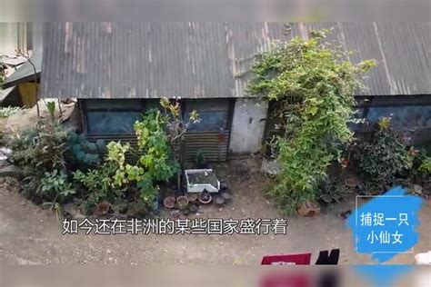 为什么非洲会那么贫穷，是因为黑人懒吗？非洲的中国人告诉你答案黑人中国答案