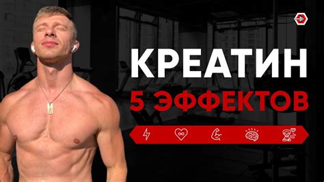 Что такое креатин чего ожидать от приема креатина Спортивное питание