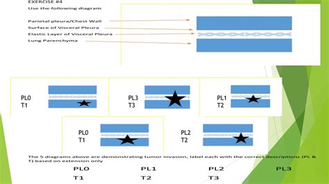 ppt lung “coding b ootcamp” powerpoint presentation free download
