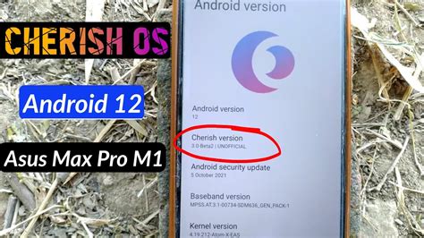 Cherish Os Android Review With Customisation Asus Max Pro M YouTube