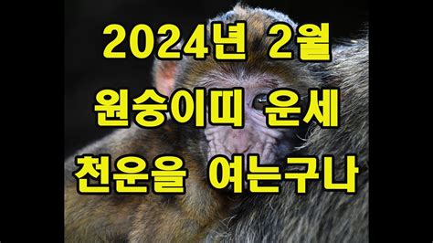 2024년 2월 원숭이띠 운세 천운이 하늘에 닿았다 YouTube