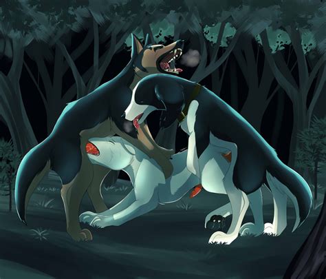 Rule 34 Akita Anal Anal Sex Animal Genitalia Animal Penis Balls Black