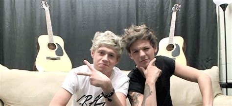 Niall Horan Plans To Reunite With Louis Tomlinson On X Factor
