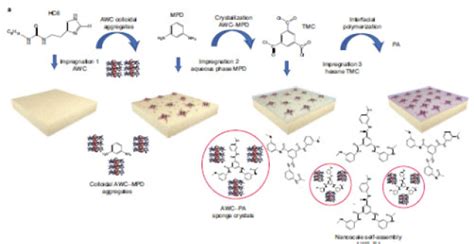 Nat Nanotech