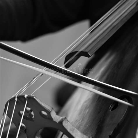 Fiddlestick On Strings Of Double Bass Closeup Stock Image Image Of Human Musical 254332559