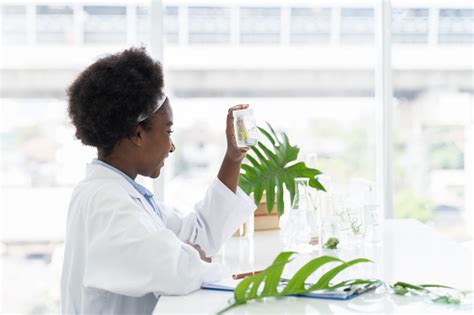 교실에서 식물 시험을 위해 유리제품을 들고 있는 아프리카계 미국인 소녀 과학자들 소녀 과학을 배우고 실험실에서 분석을하고 과학 실험 아이들의 조기 발달 다양성에 대한 스톡