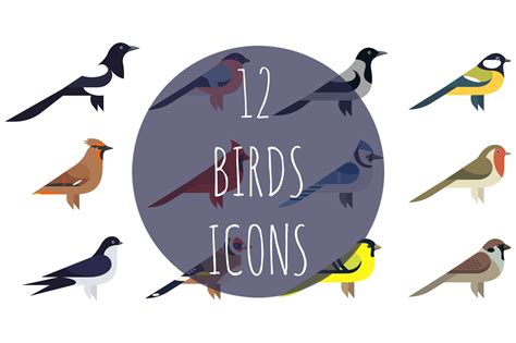 12 Birds Icons A Background Graphic By Cartoon Time