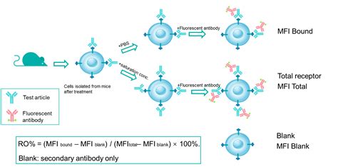 Pkpd Biocytogen