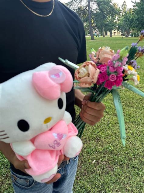 31 Hello Kitty Ideas Hello Kitty Kitty Hello Kitty Pictures