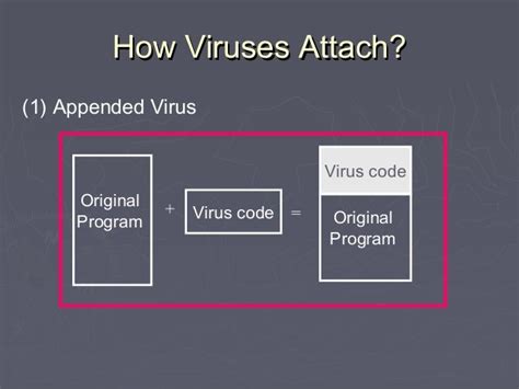 virus and malicious code chapter 5