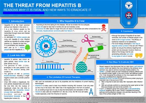 Bh Example Poster 3 Pdf Hepatitis B Virus