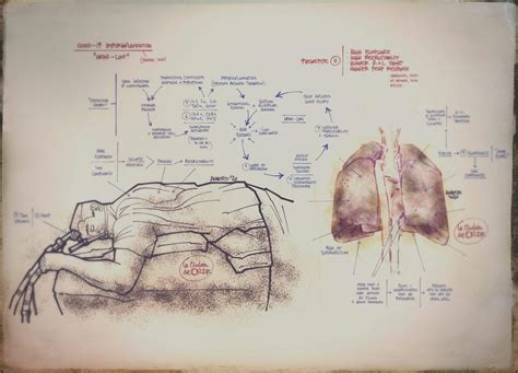 Sars Cov 2 Phenotypes • Litfl • Illustration