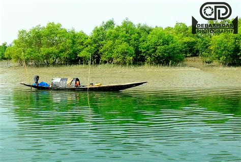 Wb Tourism Sundarban Tour Best Tourist Places In The World