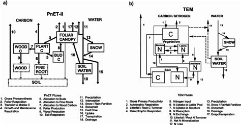 comparison of pnet ii a and tem 4 0 b model structures arrows