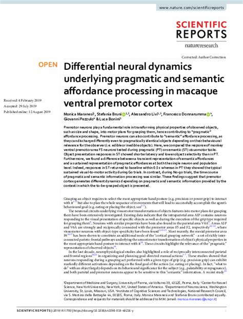 Pdf Differential Neural Dynamics Underlying Pragmatic And Semantic Affordance Processing In