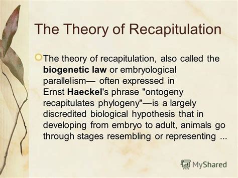What Is Recapitulation Theory At Keri Darnell Blog