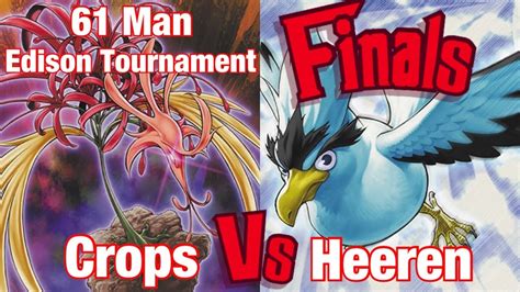Man Edison Tournament Finals Amaryllis Burn Vs Blackwings YouTube