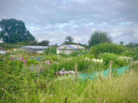 Allotments Available Caldecott Pc