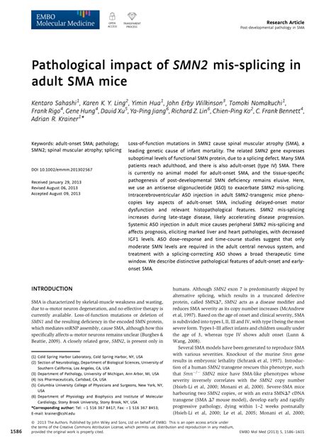 Pdf Pathological Impact Of Smn2 Mis Splicing In Adult Sma Mice