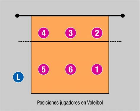 POSICIONES EN LA CANCHA DE VOLEIBOL Todo Lo Que Necesita Saber