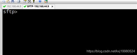 使用securecrt实现拖拽上传文件到linuxsecurecrt怎么上传压缩包 Csdn博客